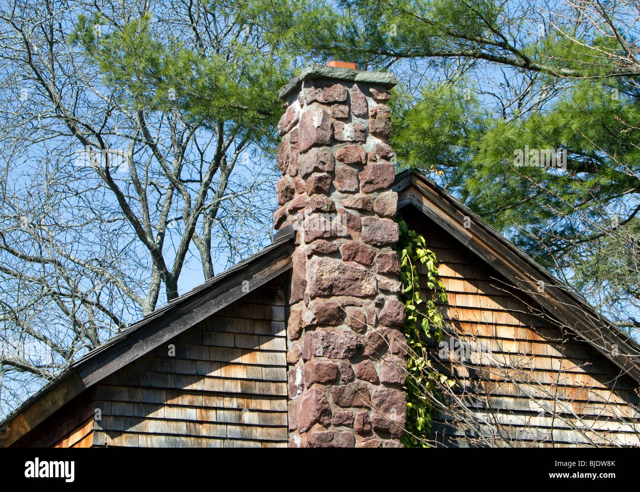 Stone Chimney Design Walls