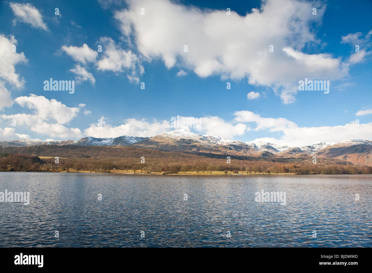 Reflection of sky on Coniston Water in winter with trees and snow ...