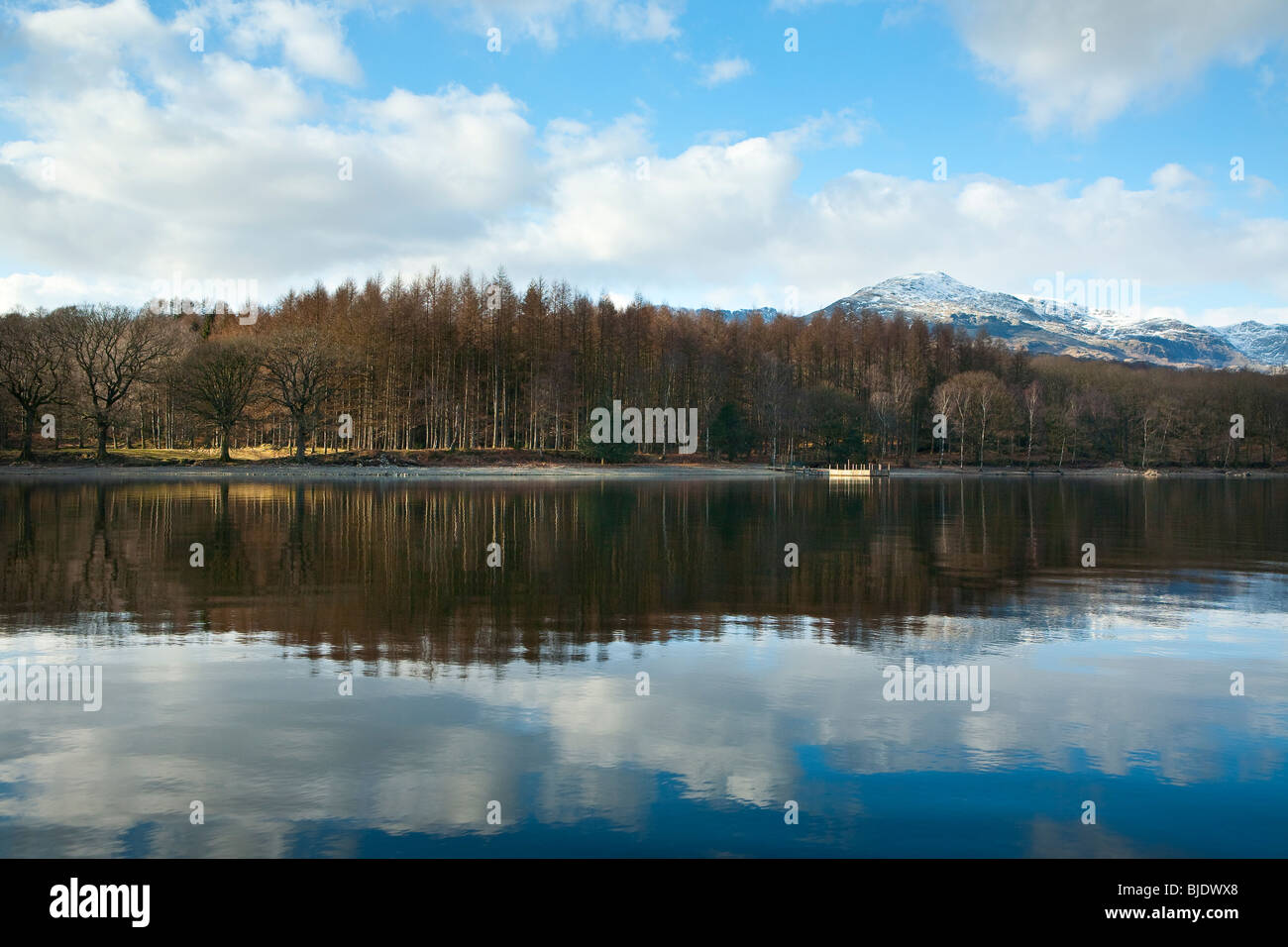 Reflection of sky on Coniston Water in winter with trees and snow ...