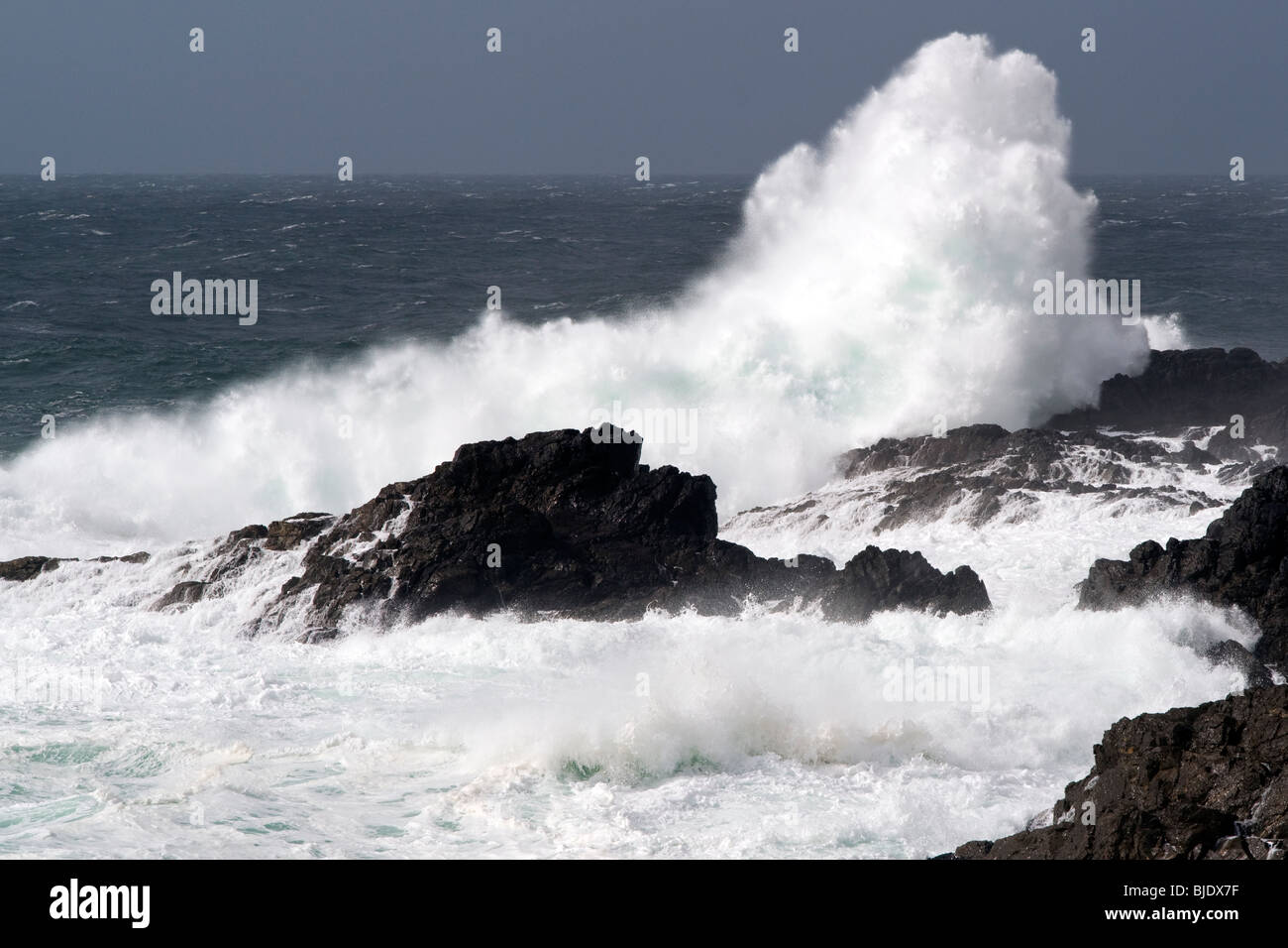 Ucluelet bc hi-res stock photography and images - Alamy
