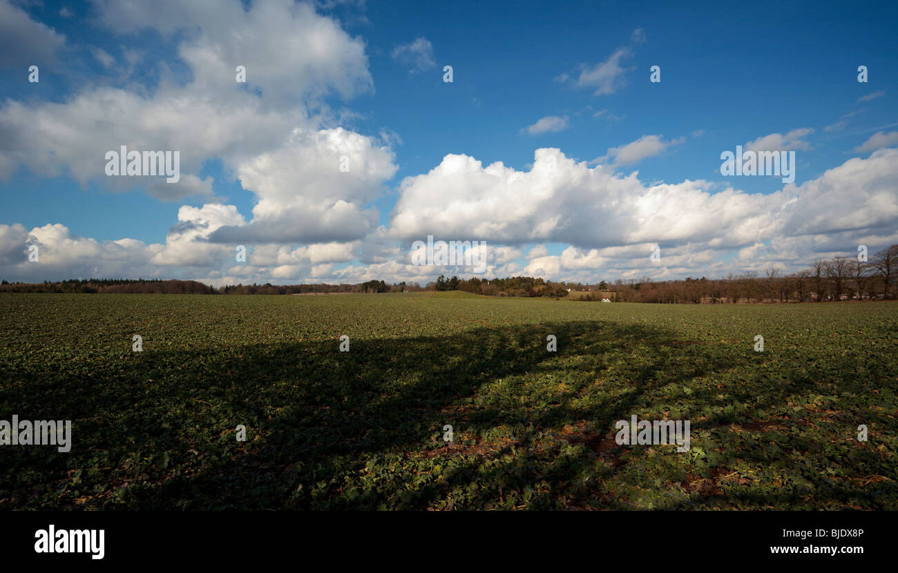 Chiltern landscape in oxfordshire hi-res stock photography and images ...