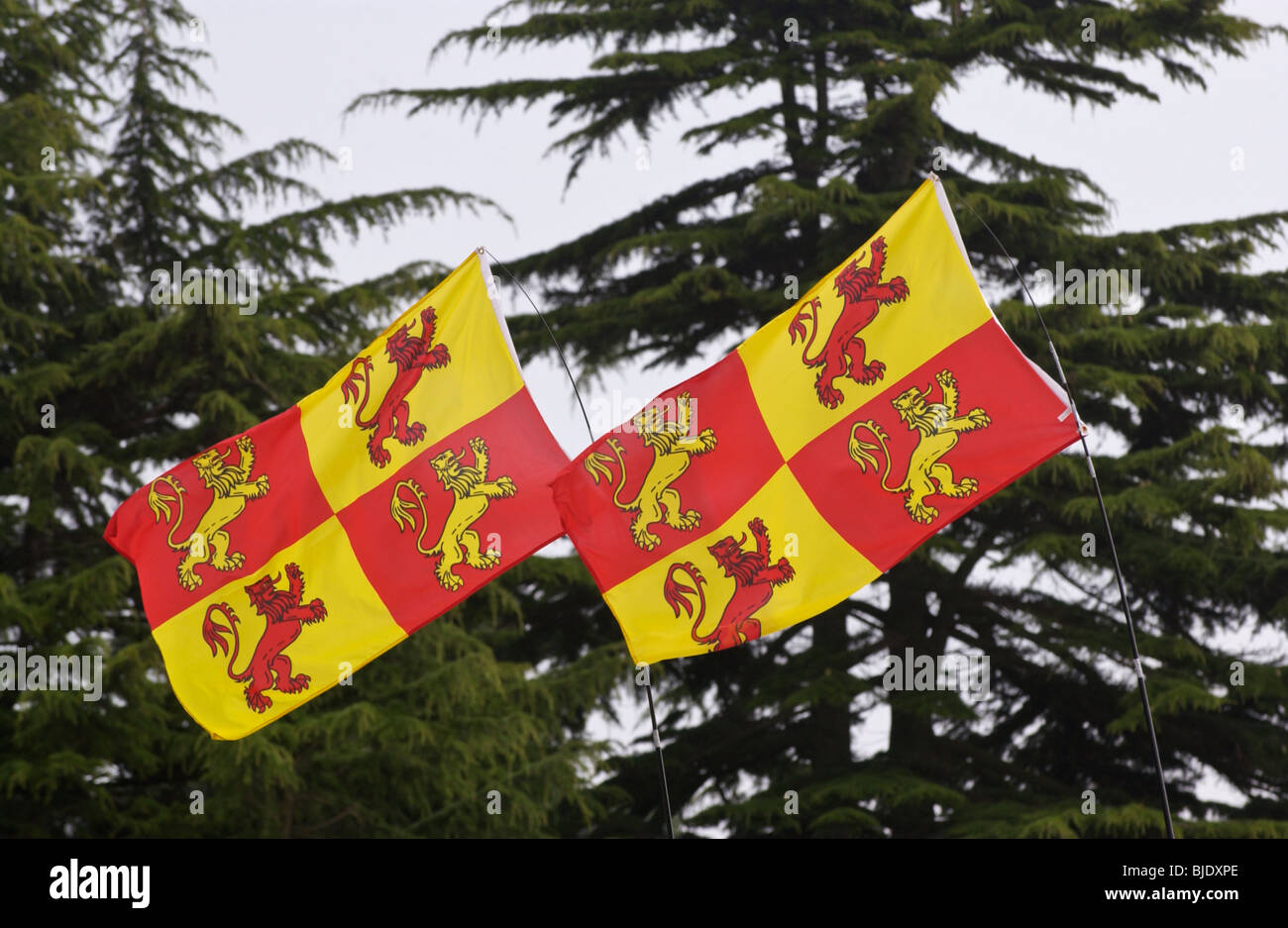 Owain Glyndwr flags at National Eisteddfod of Wales Newport Gwent South ...