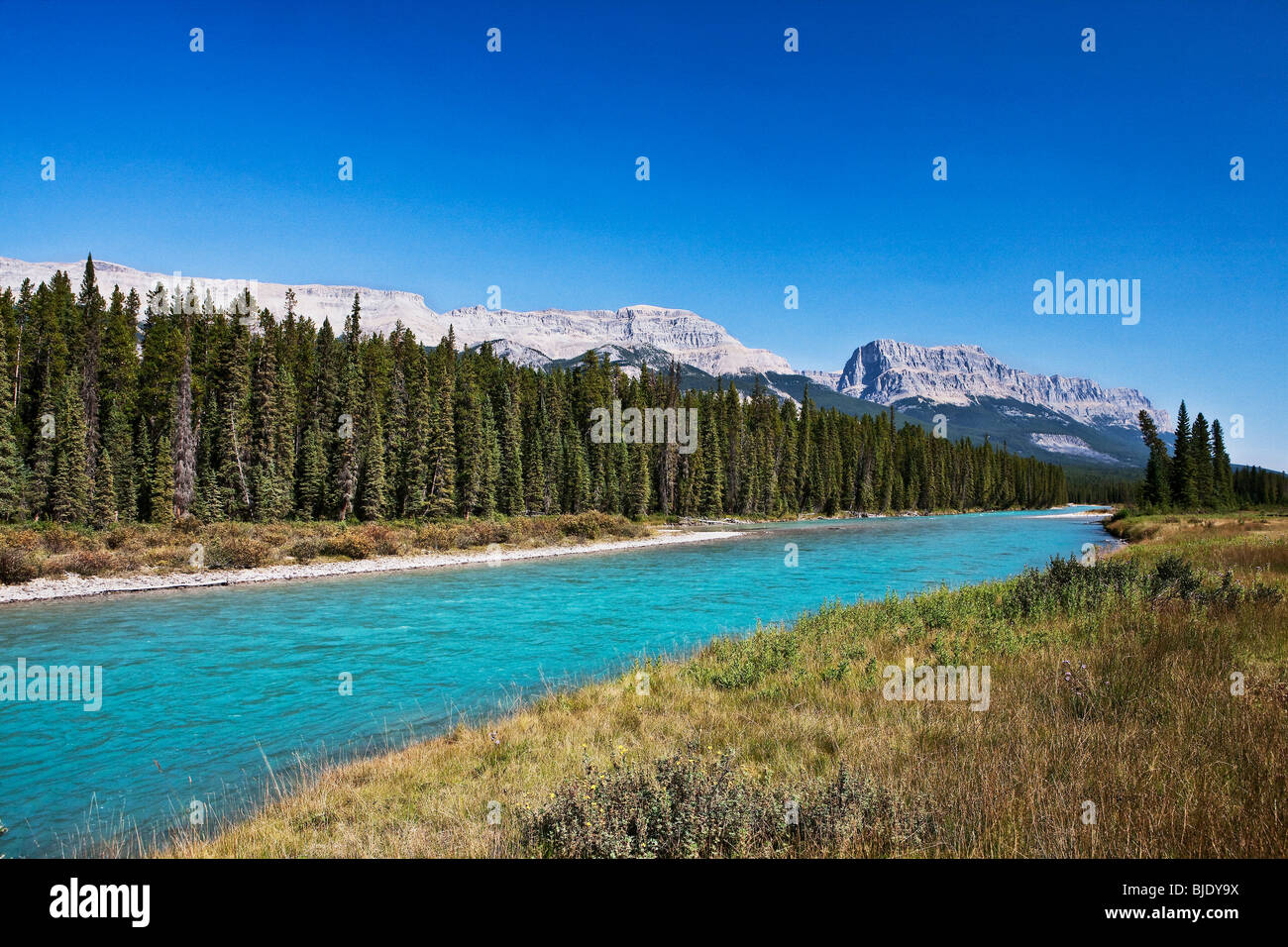 Canadian grass hi-res stock photography and images - Alamy