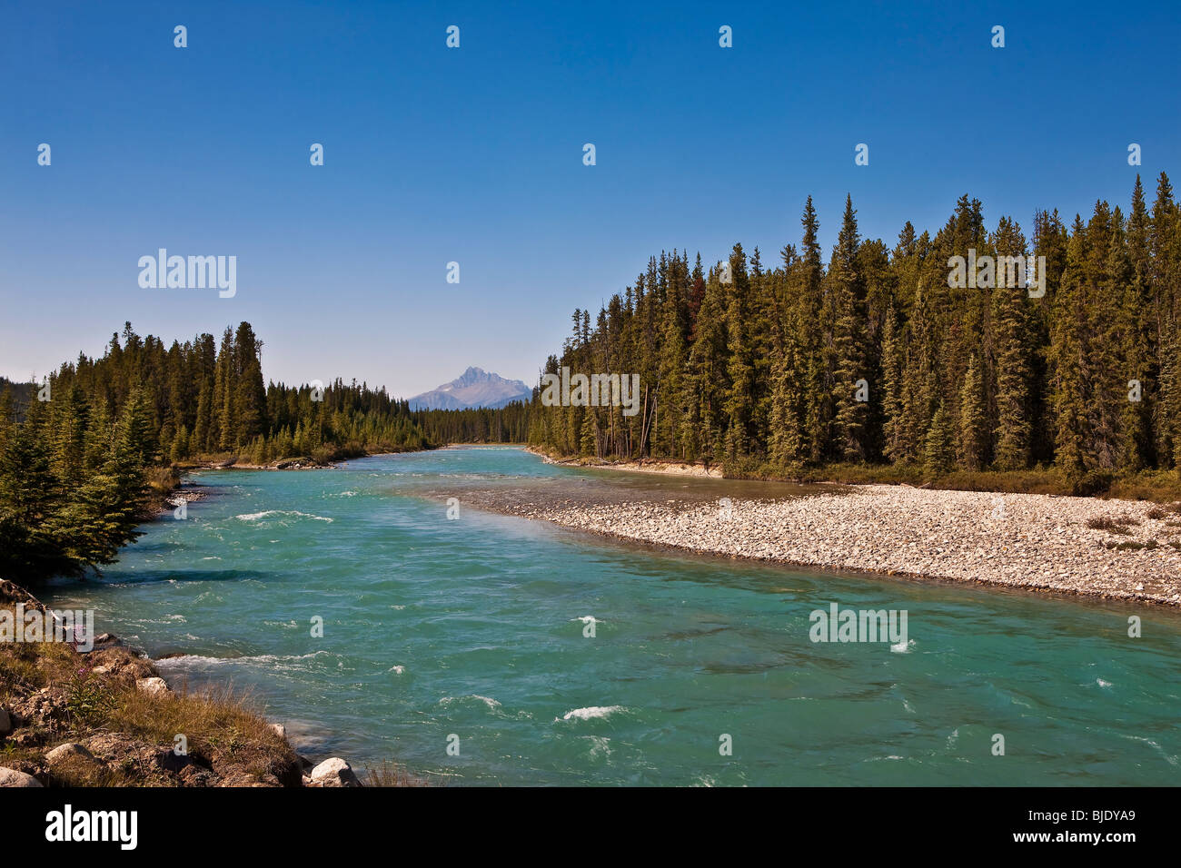 Bow River - Banff National Park - Alberta - Canada Stock Photo - Alamy