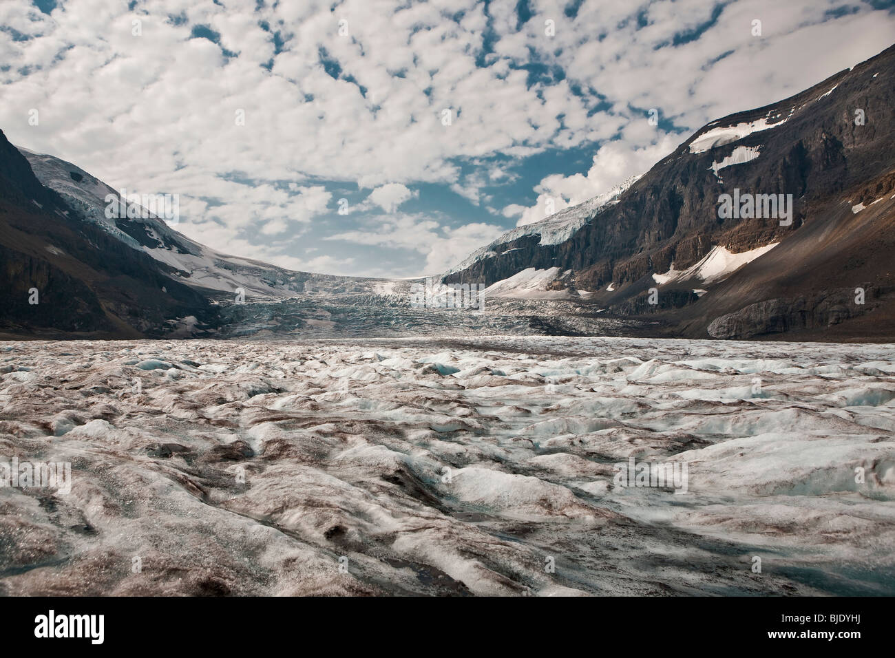 Columbia Ice field - Jasper National Park - Alberta - Canada Stock ...