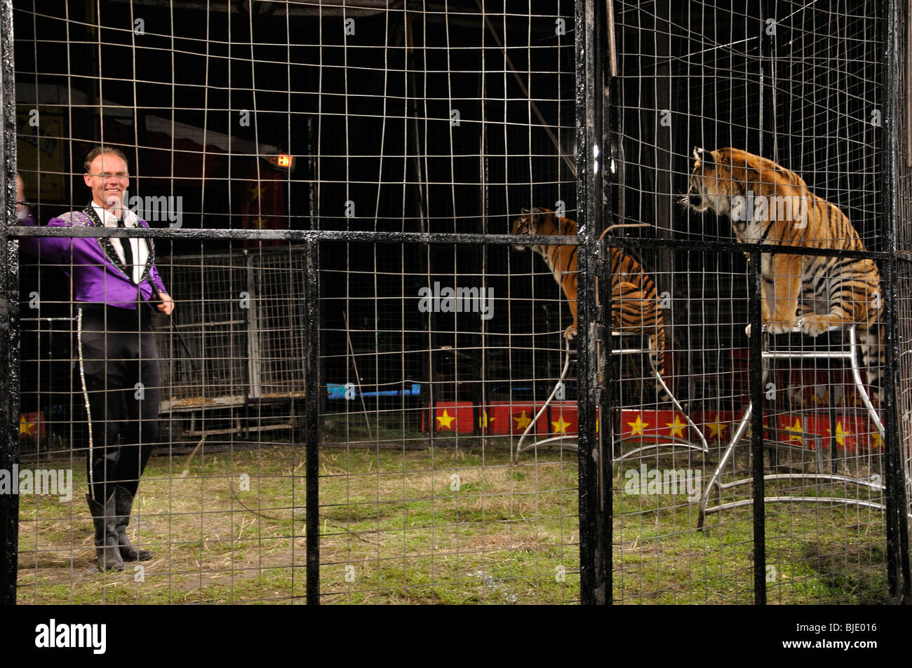 Circus Tamer High Resolution Stock Photography and Images - Alamy