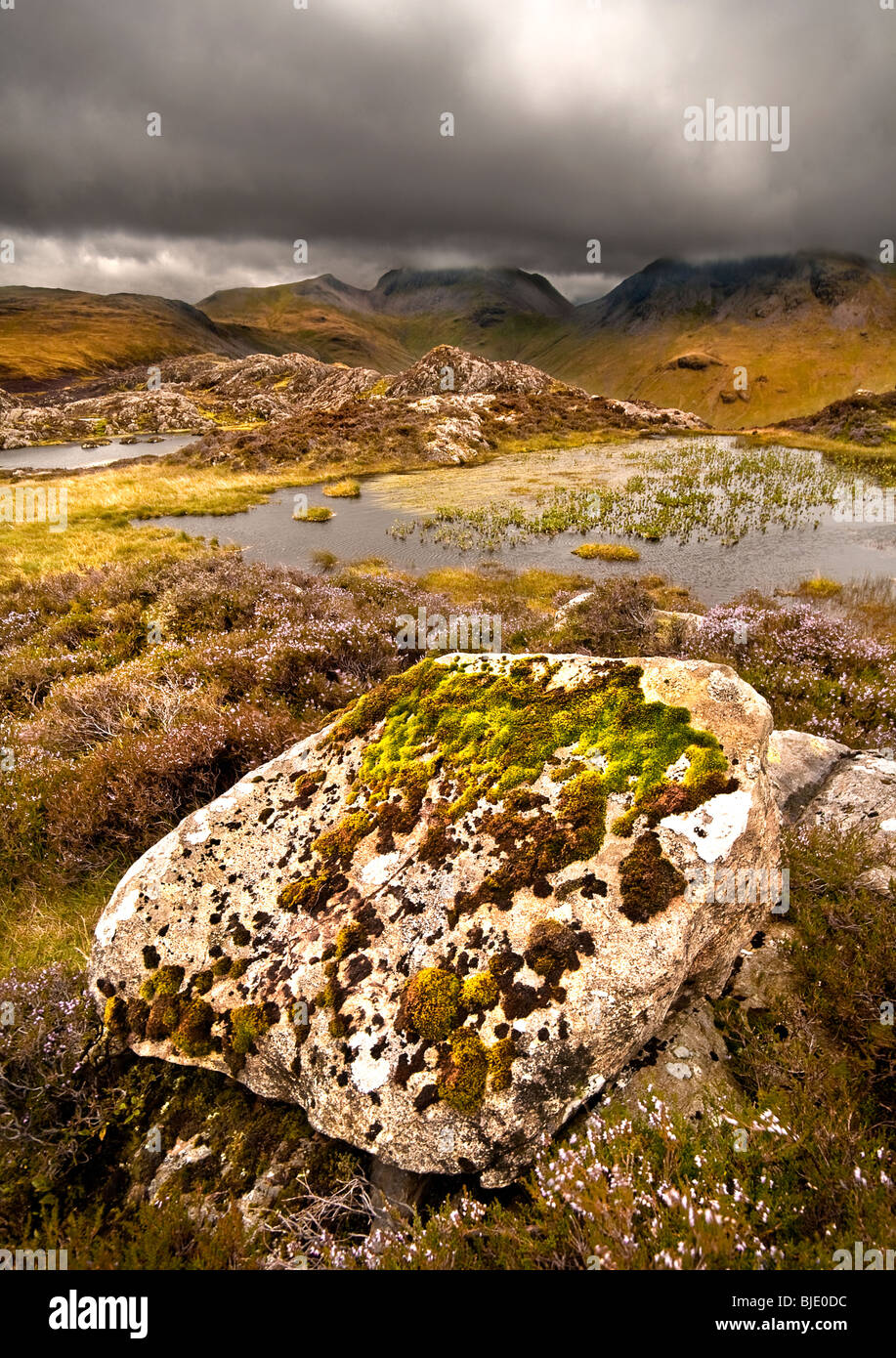Towards Great Gable from Haystacks summit, Lake District Stock Photo ...