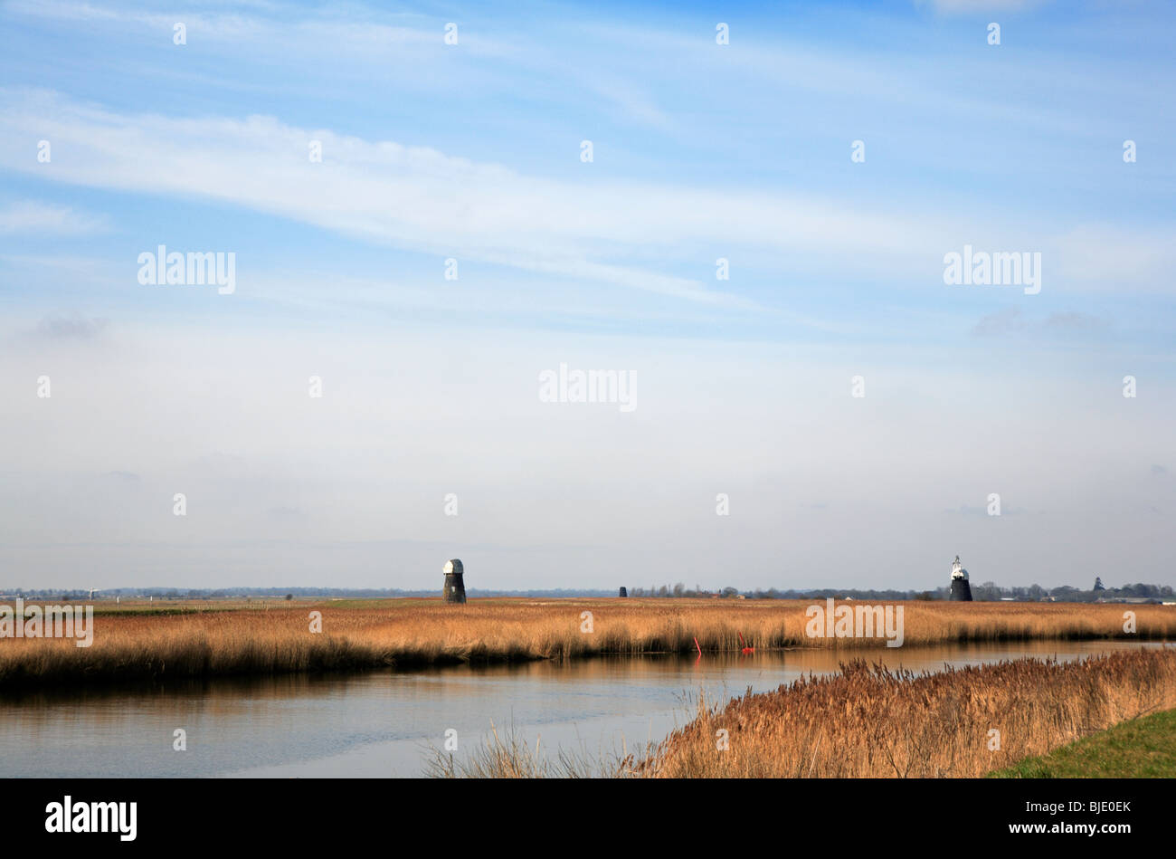 A Norfolk Broads landscape by the River Bure with reed beds and ...