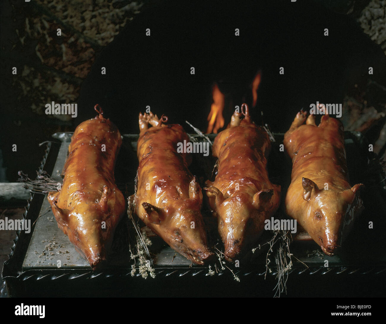 Suckling pig and spain hi-res stock photography and images - Alamy