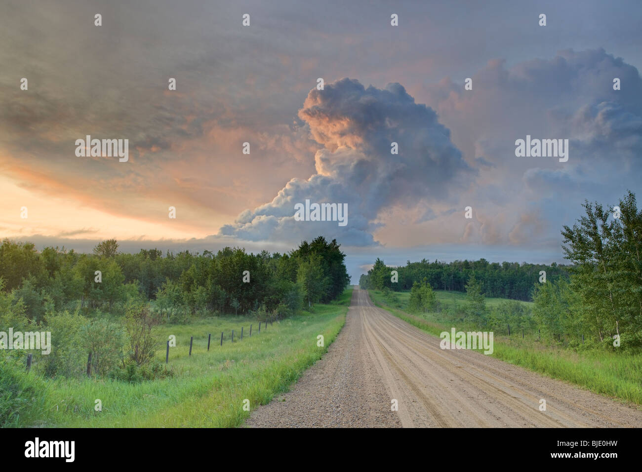 Tofield High Resolution Stock Photography and Images - Alamy