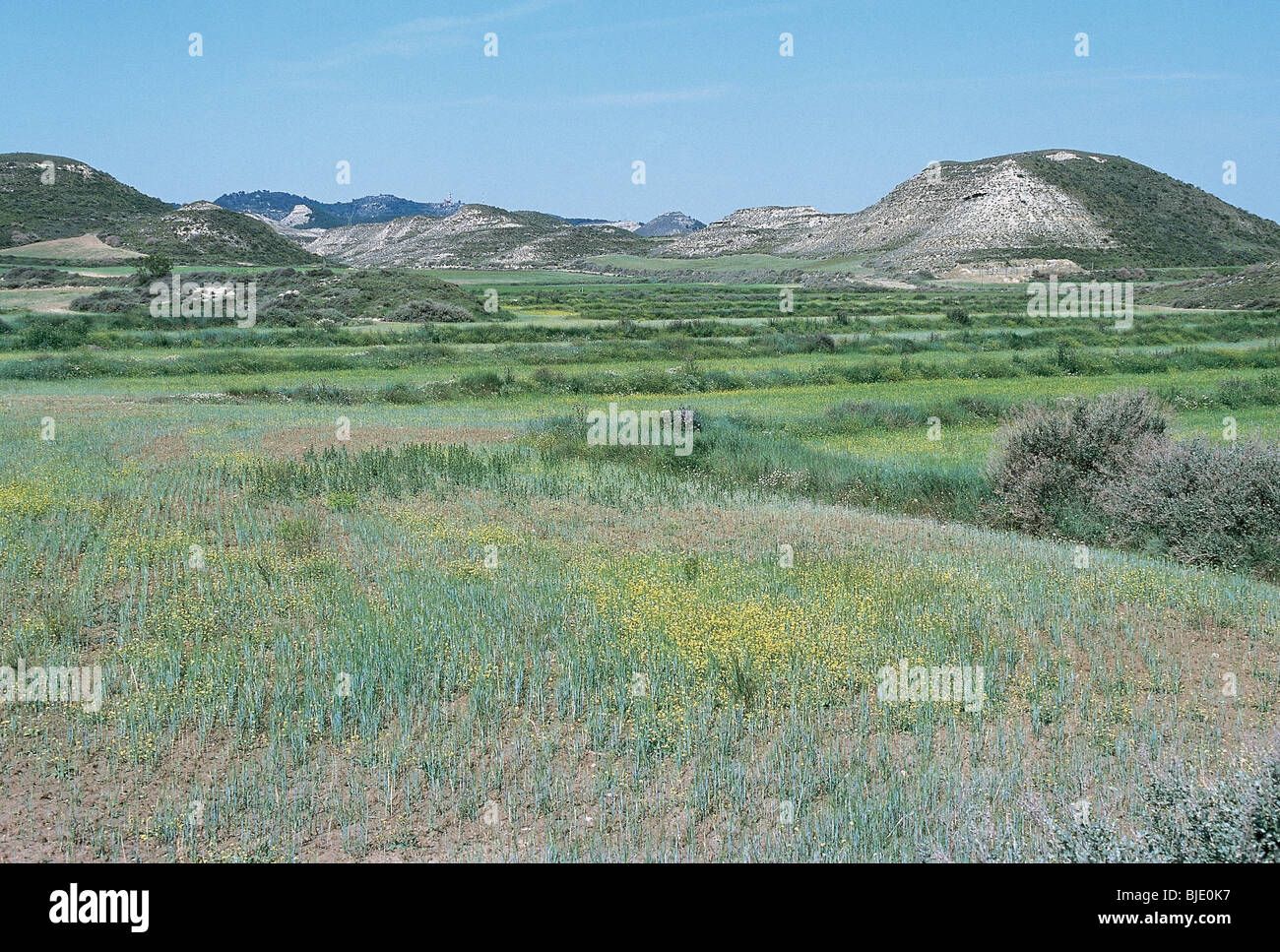 Los Monegros. Landscape in spring. Huesca province. Aragon. Spain Stock ...