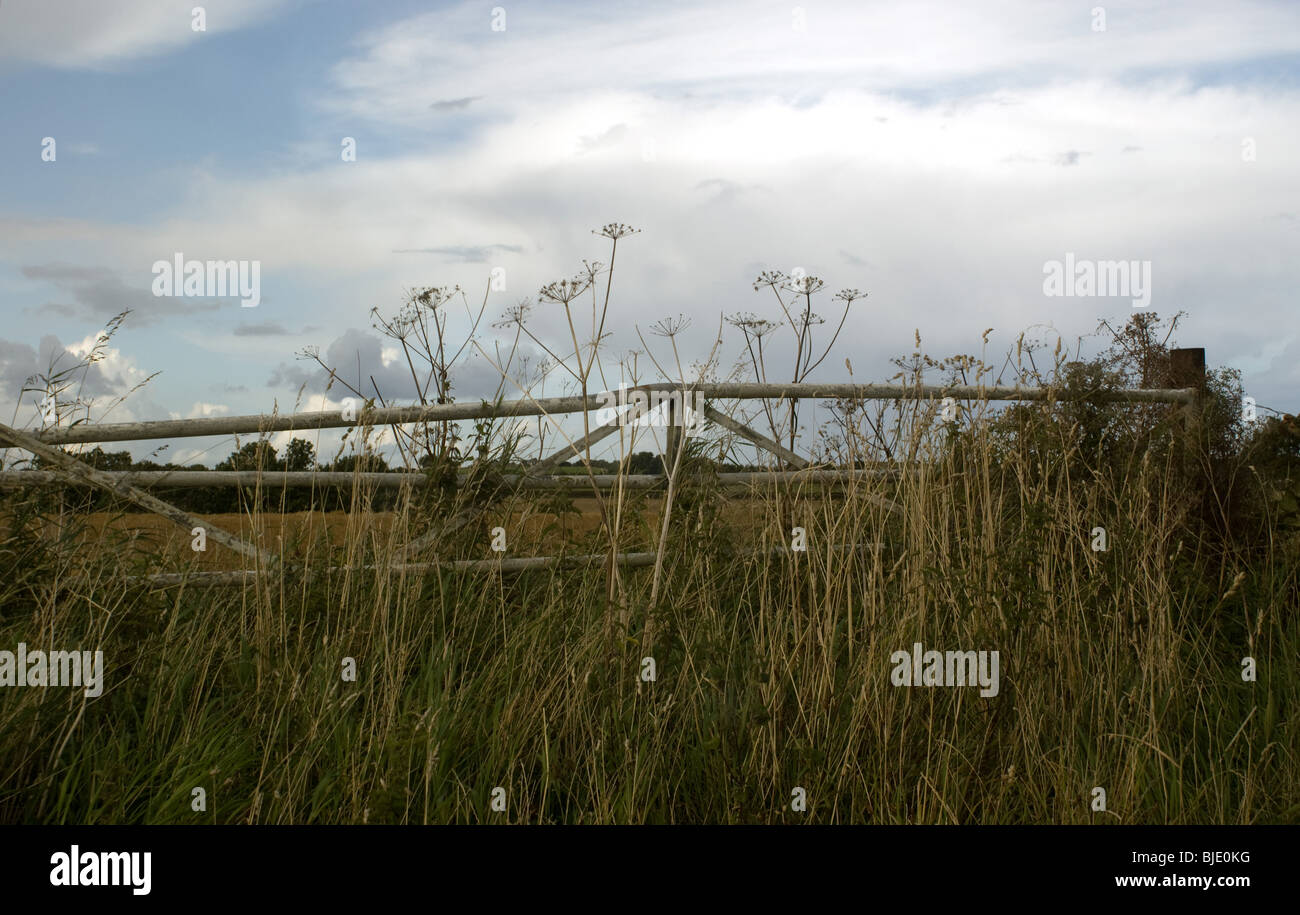 Old field gate hi-res stock photography and images - Alamy
