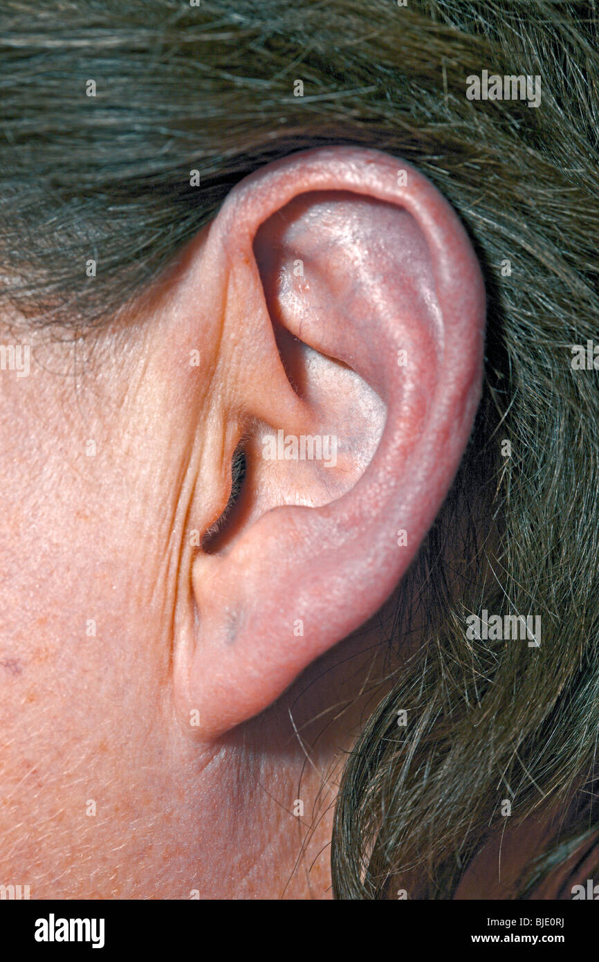 Ear lobe hi-res stock photography and images - Alamy