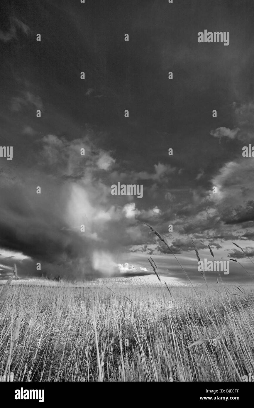 Prairie sky blue sky Black and White Stock Photos & Images - Alamy