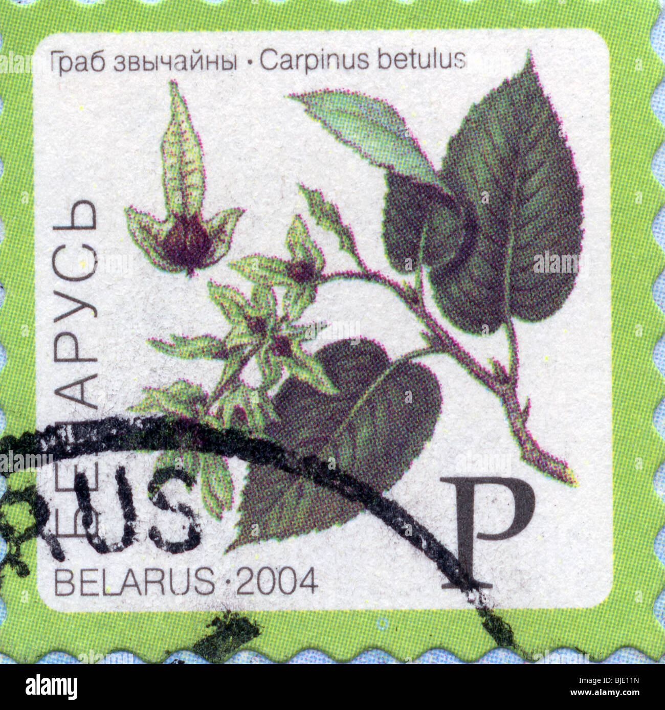 Belarus postage stamp Stock Photo - Alamy