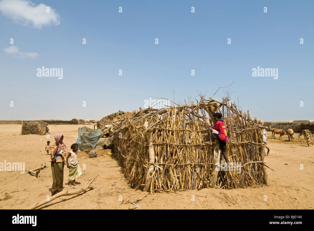 Rashaida village, Surrounding of Massawa, Eritrea Stock Photo - Alamy