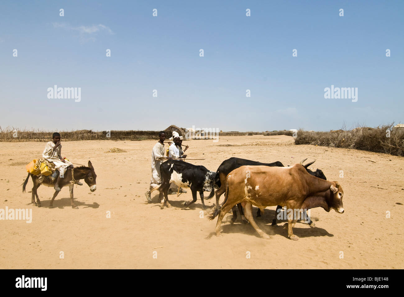 Rashaida village, Surrounding of Massawa, Eritrea Stock Photo - Alamy