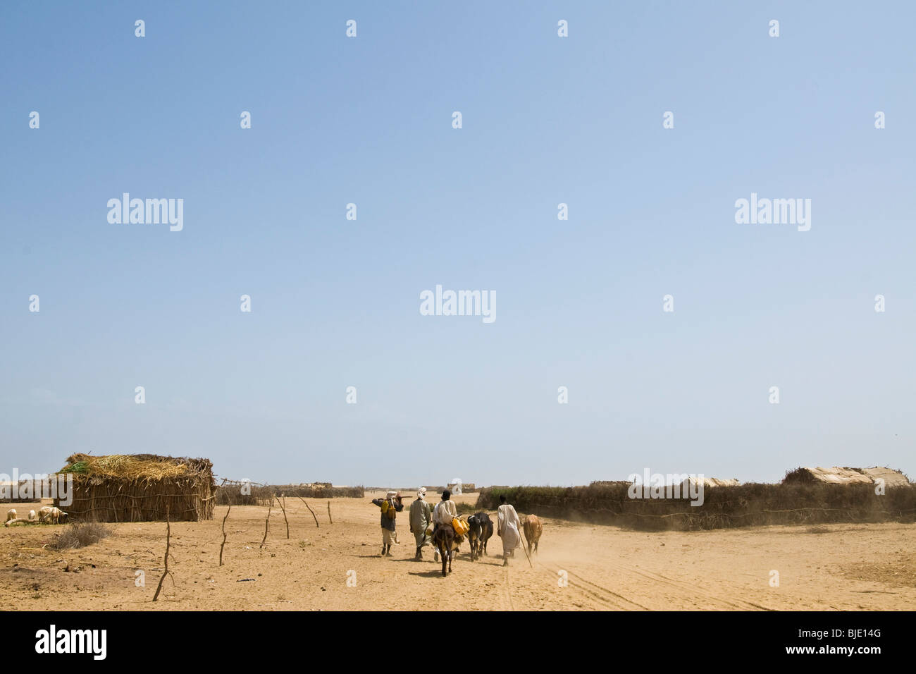 Rashaida High Resolution Stock Photography and Images - Alamy