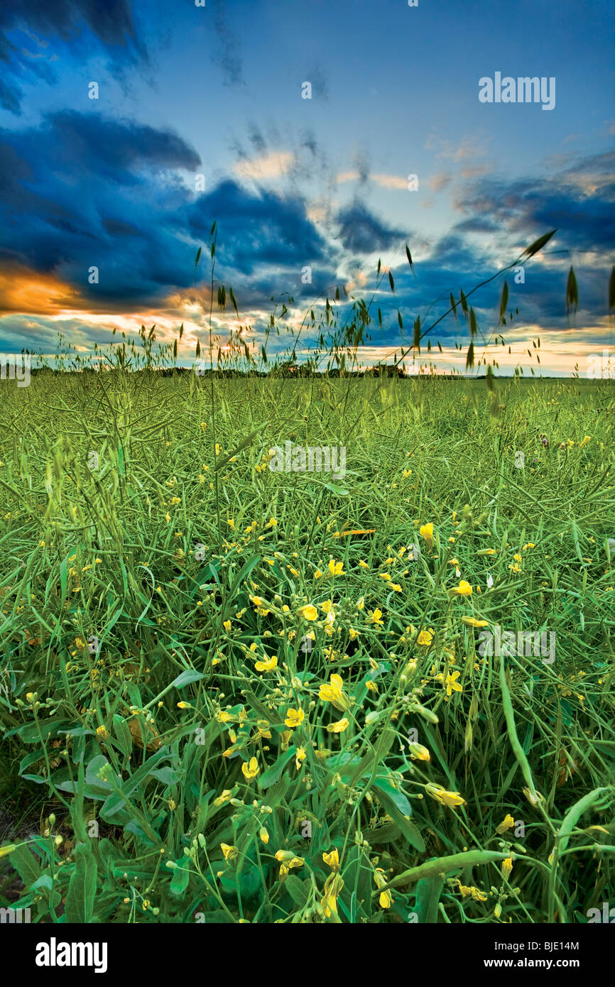 Fort saskatchewan alberta hi-res stock photography and images - Alamy