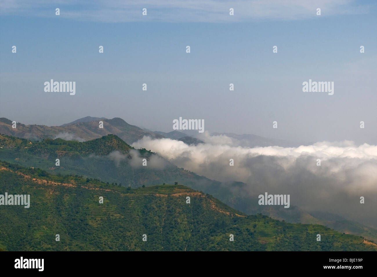 Filfil hi-res stock photography and images - Alamy