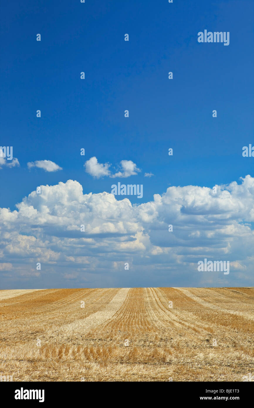 Alberta prairie sky hi-res stock photography and images - Alamy