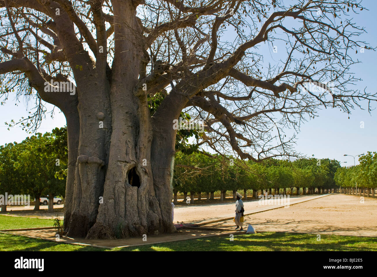 St. Maryam Dearit church, Keren, Eritrea Stock Photo - Alamy