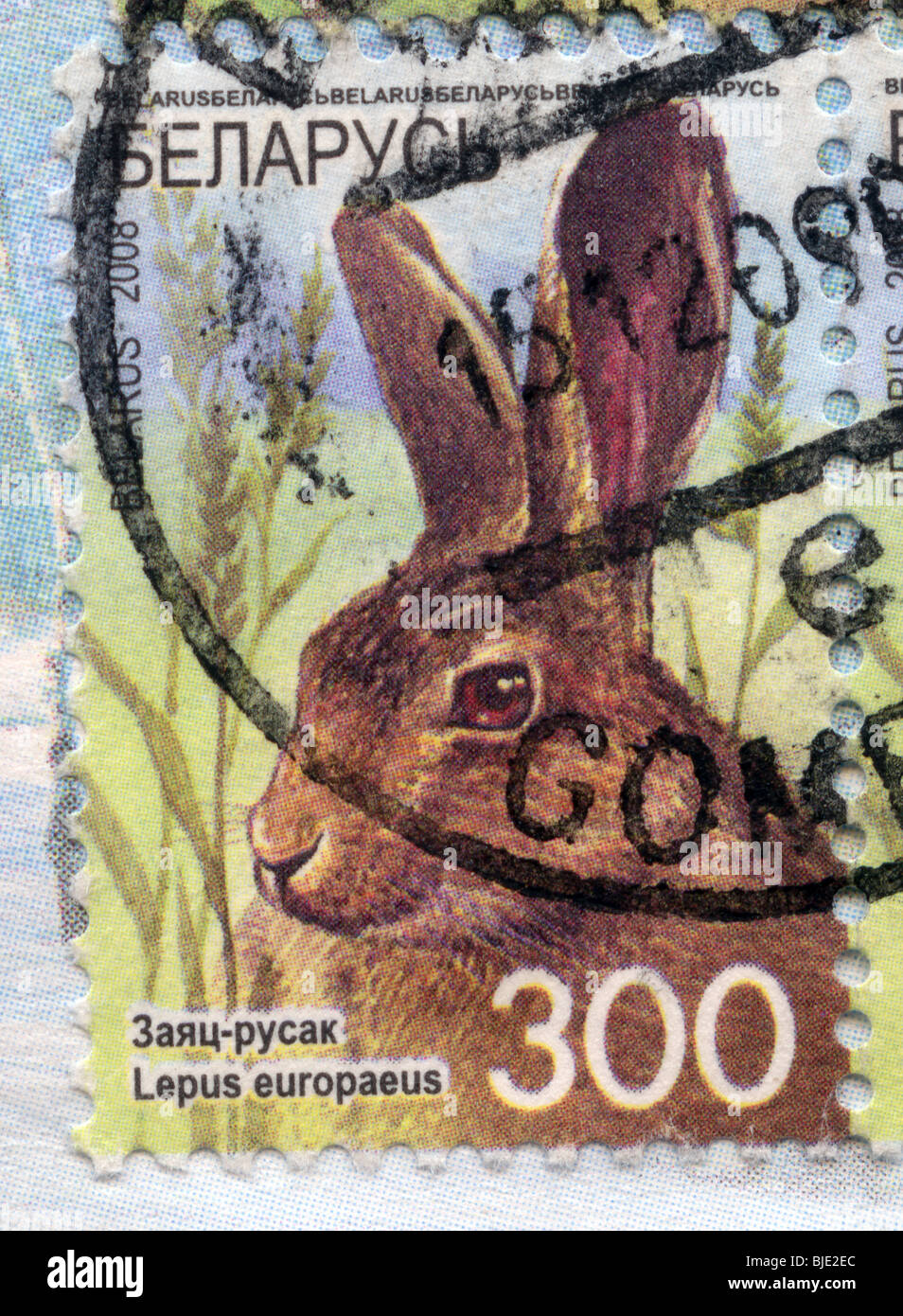 Belarus postage stamp Stock Photo - Alamy