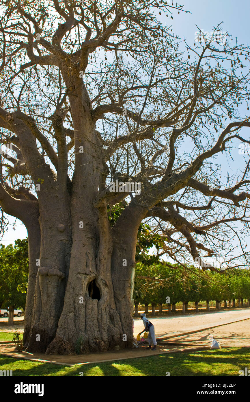 St. Maryam Dearit church, Keren, Eritrea Stock Photo - Alamy