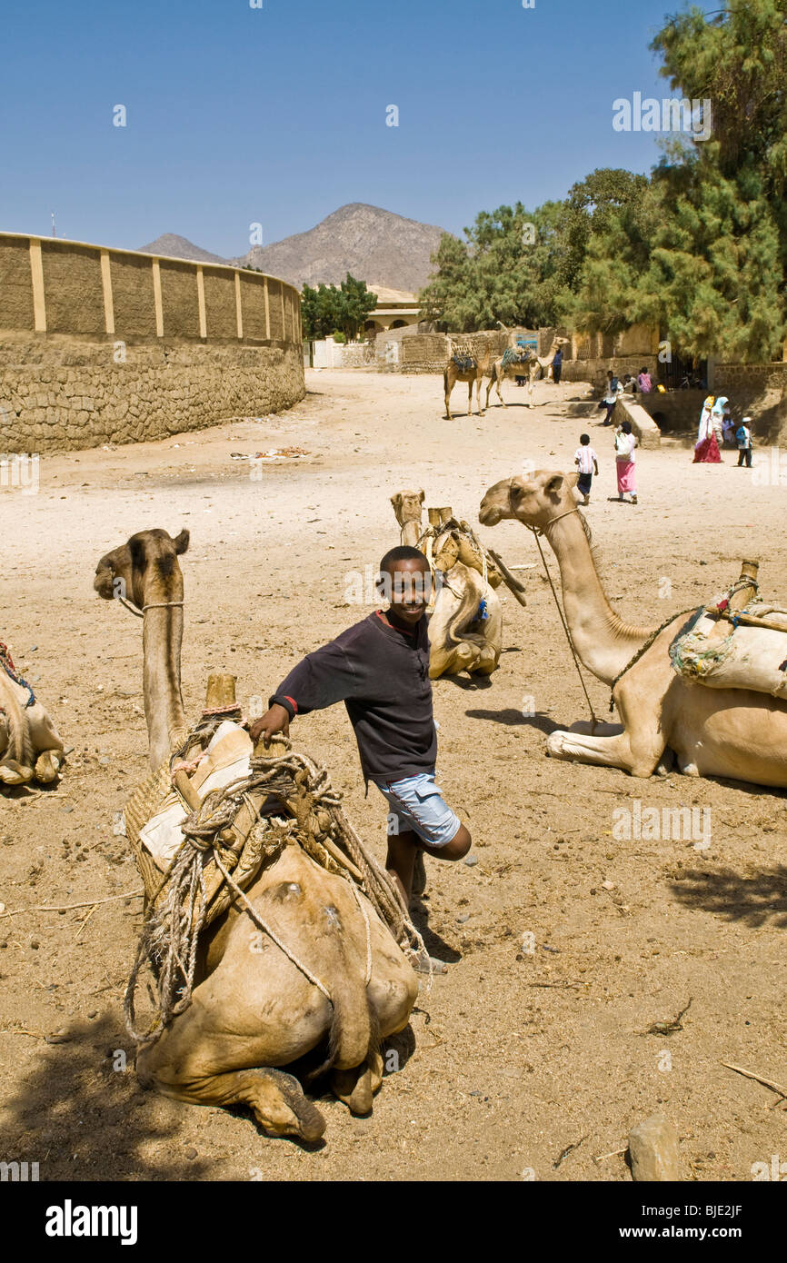 Camel market, Keren, Eritrea Stock Photo - Alamy