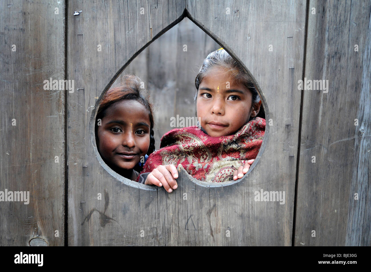 Koto hi-res stock photography and images - Alamy