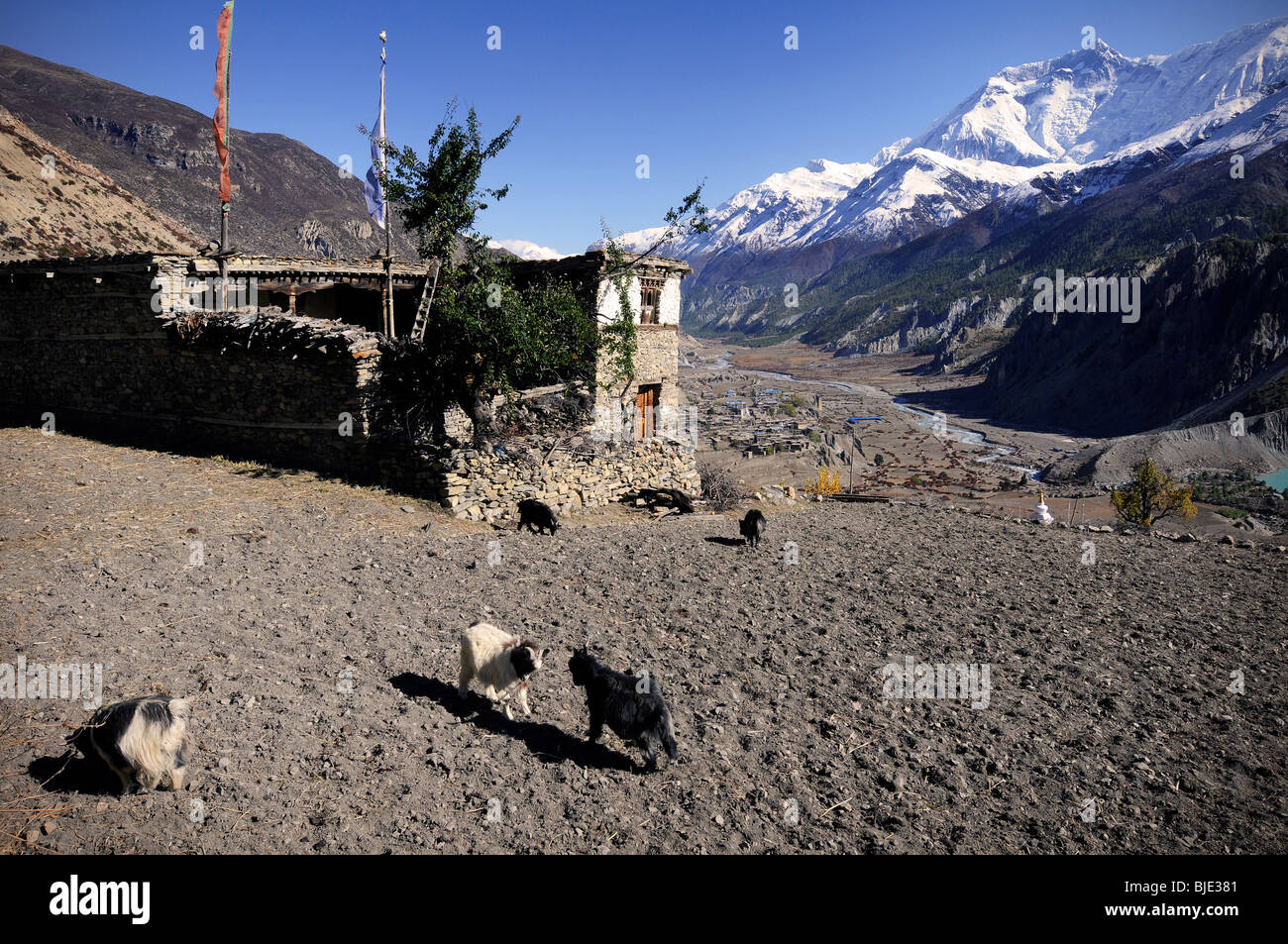 Manang nepal hi-res stock photography and images - Alamy