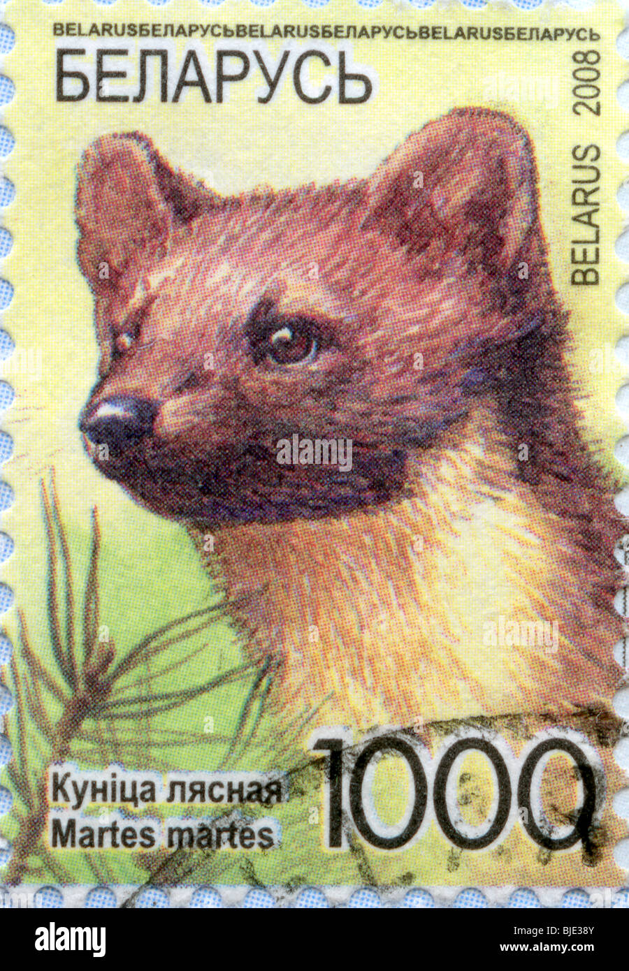 Belarus postage stamp Stock Photo - Alamy