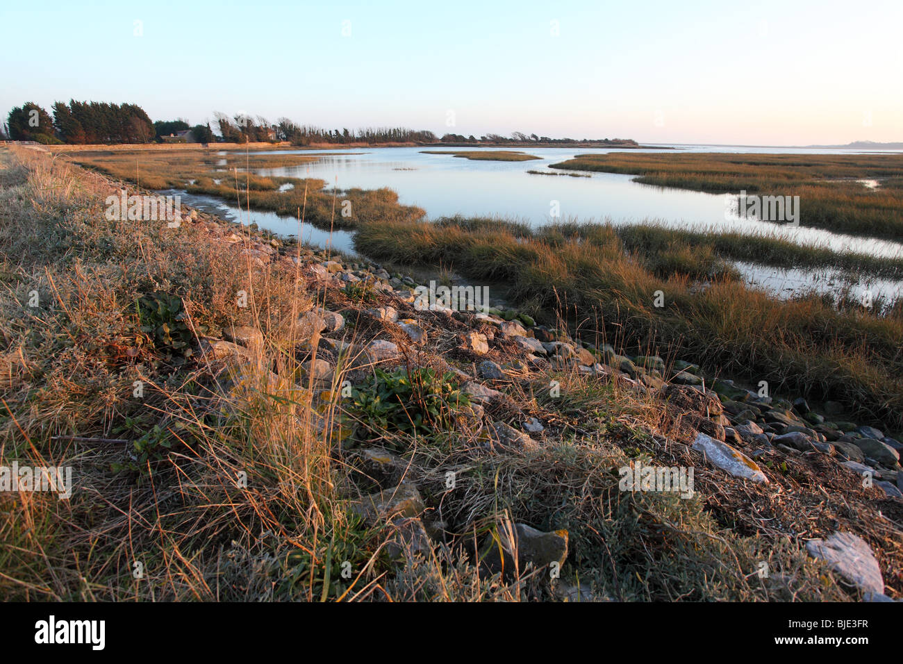 Pagham Harbour nature reserve Stock Photo - Alamy