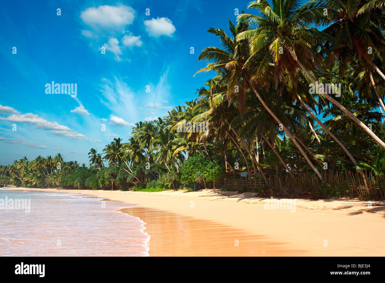 Tropical paradise idyllic beach. Sri Lanka Stock Photo - Alamy
