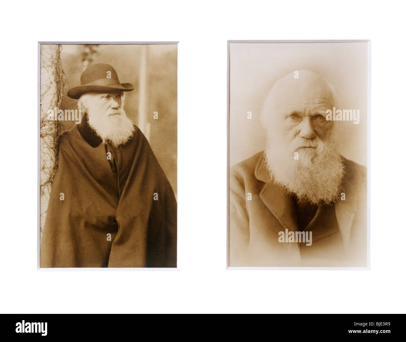Charles darwin hi-res stock photography and images - Alamy