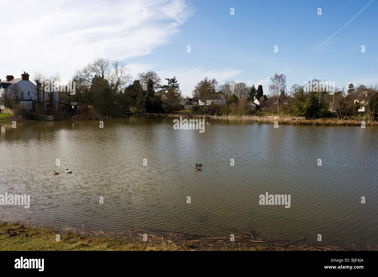 A pond on Gerrards Cross West common Stock Photo - Alamy