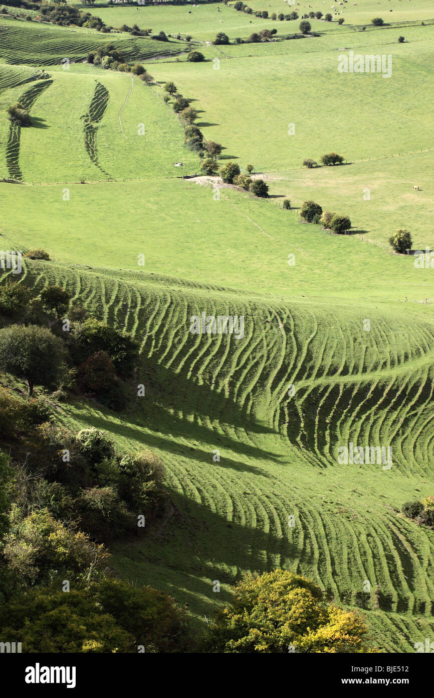 Soil creep hi-res stock photography and images - Alamy