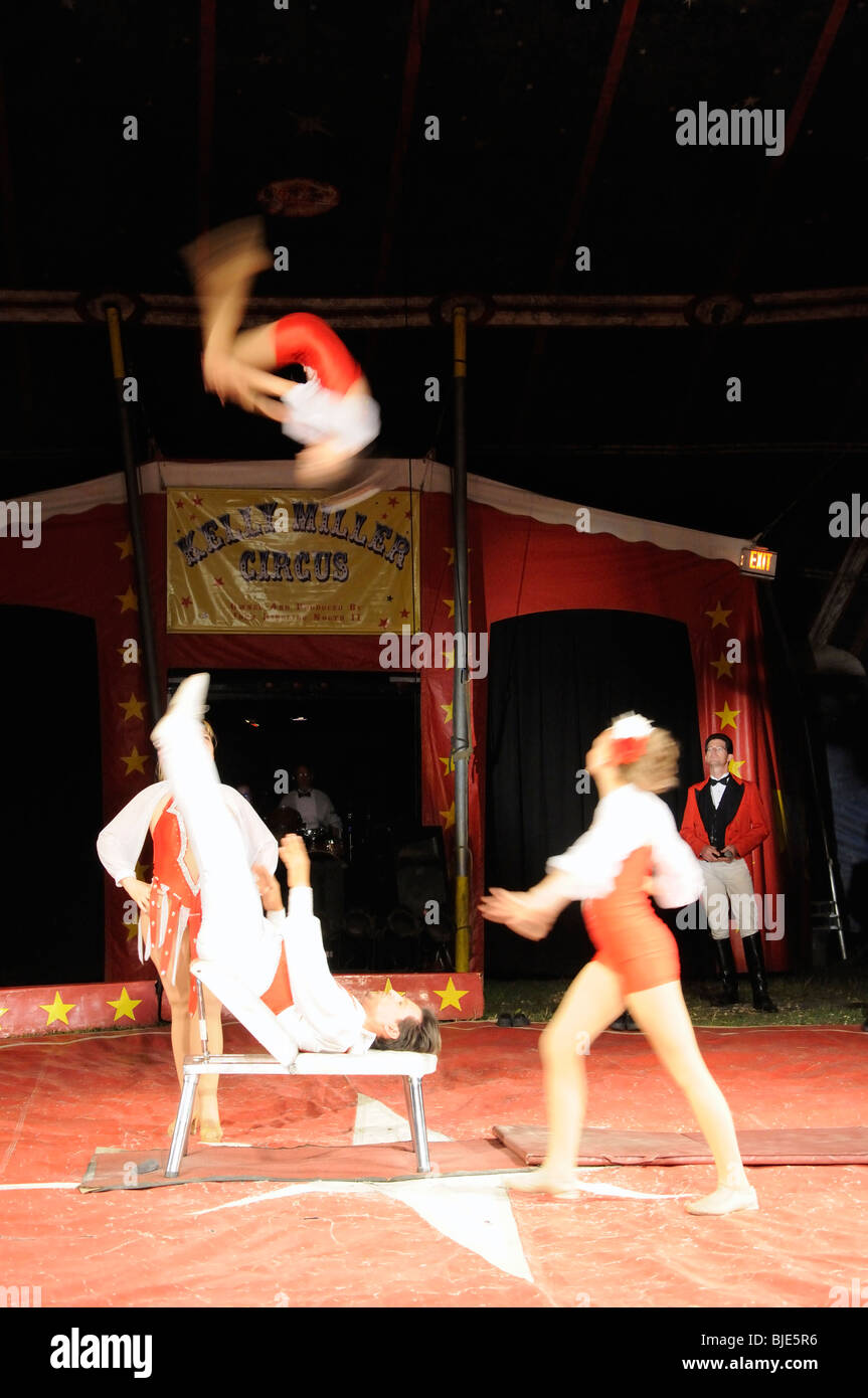 Acrobats in circus Stock Photo - Alamy