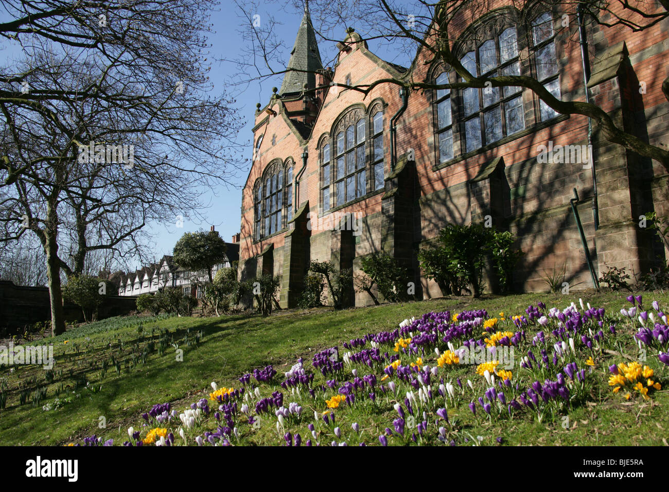 Village of Port Sunlight, England. Spring crocuses in Port Sunlight ...