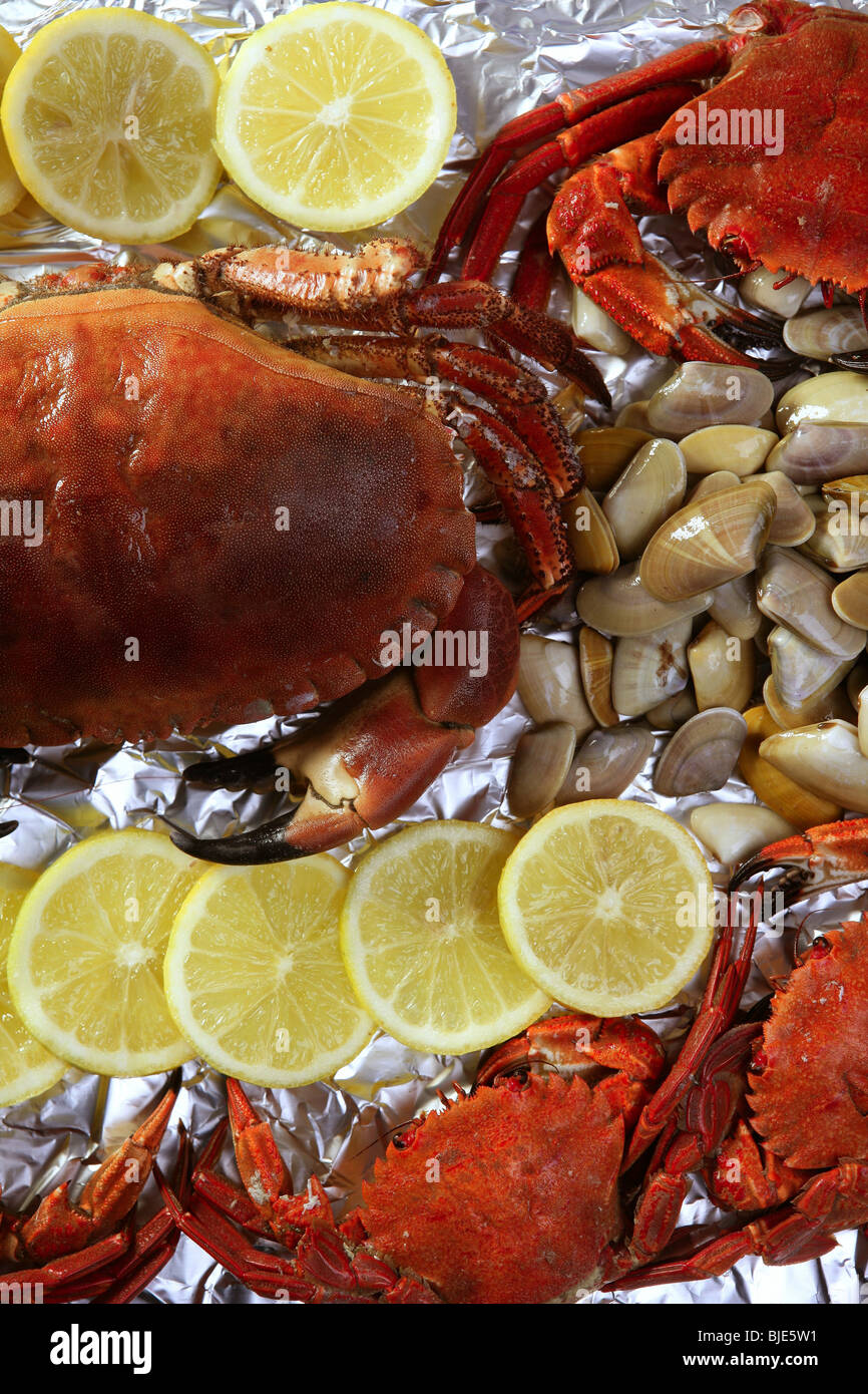 Crabs tellin clams and lemon seafood still life Stock Photo - Alamy