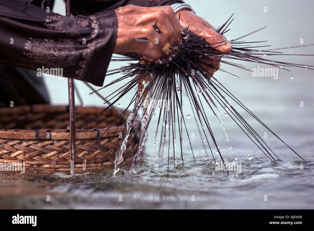 Myanmar sea-gypsies, the nomadic hunter-gatherers of South East Asia ...