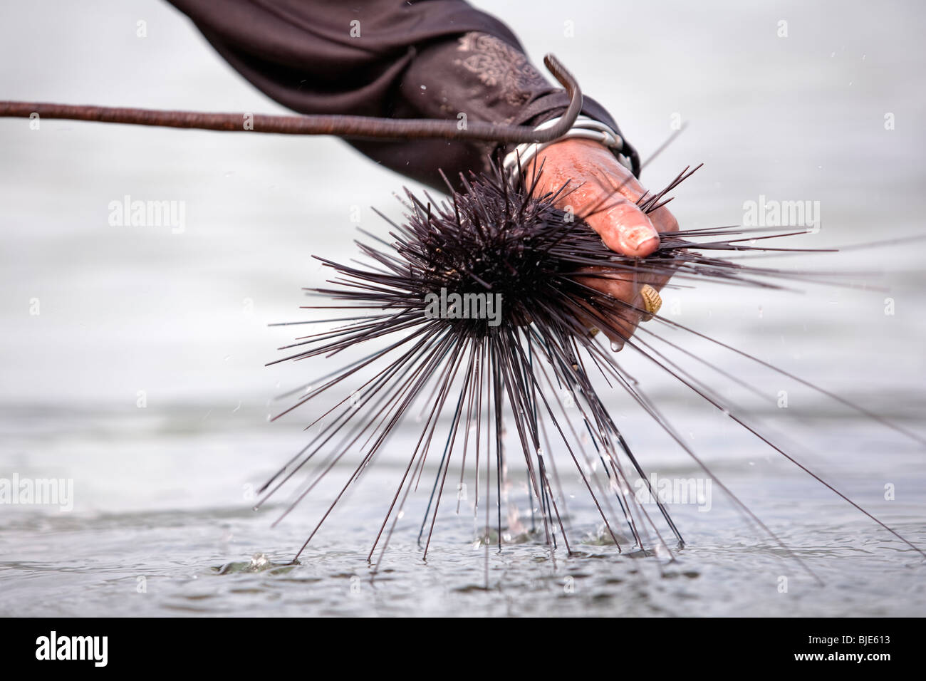 Andaman tribe hi-res stock photography and images - Alamy