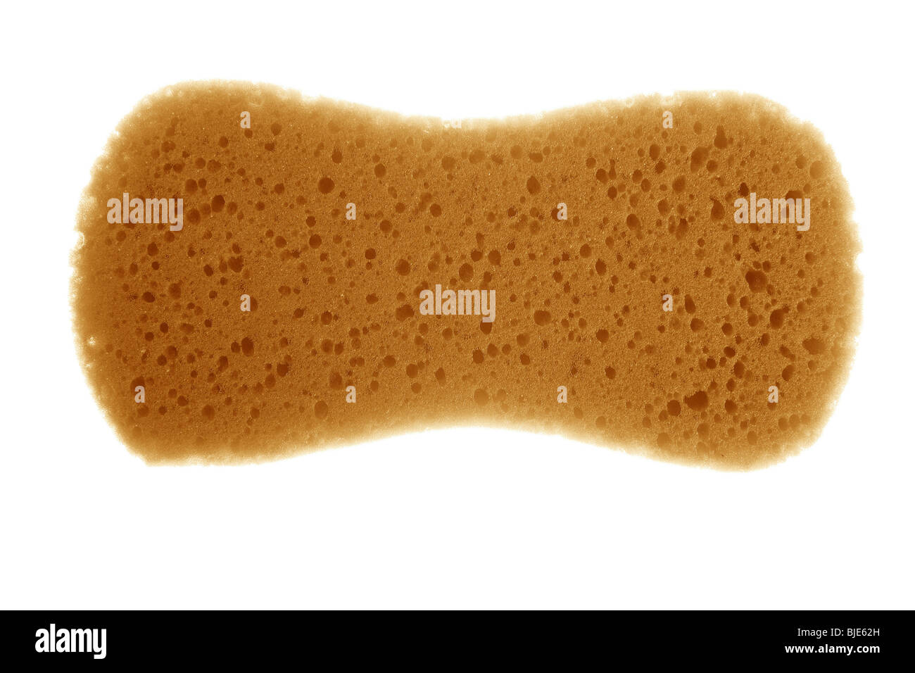 Sponge in yellow color isolated on white background Stock Photo - Alamy
