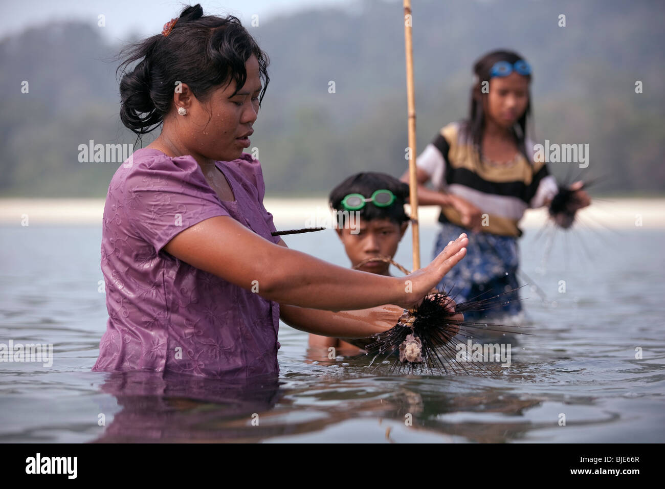 Myanmar sea-gypsies, the nomadic hunter-gatherers of South East Asia ...
