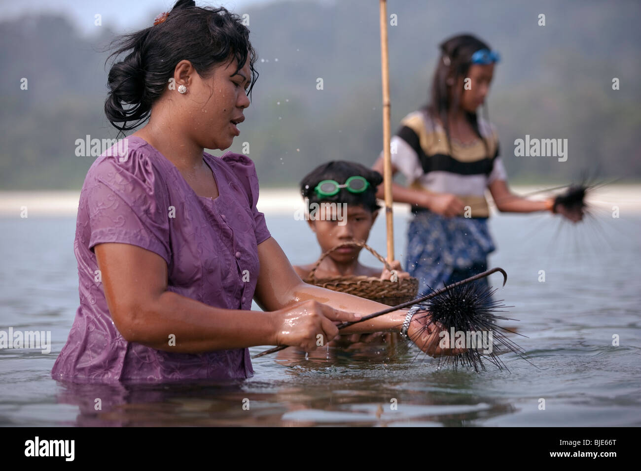 Myanmar sea-gypsies, the nomadic hunter-gatherers of South East Asia ...