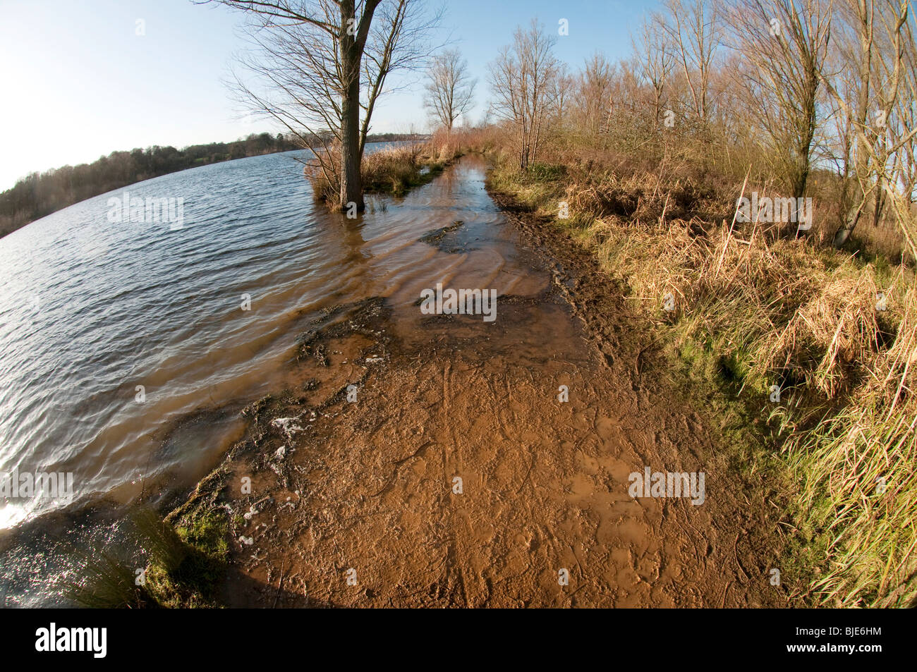 Flooding path hi-res stock photography and images - Alamy