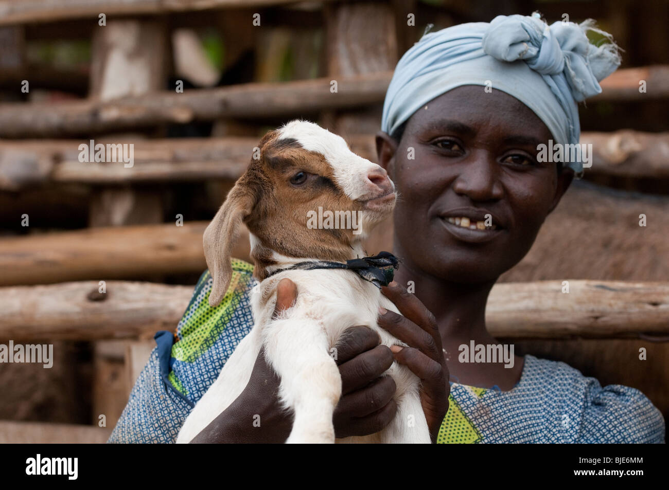 Lady goat hi-res stock photography and images - Alamy