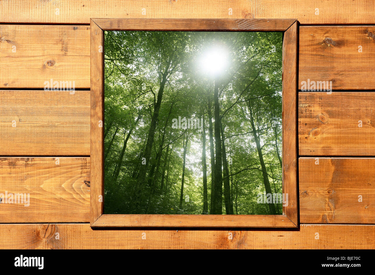 Wooden window jungle green forest view from wood cabin Stock Photo - Alamy