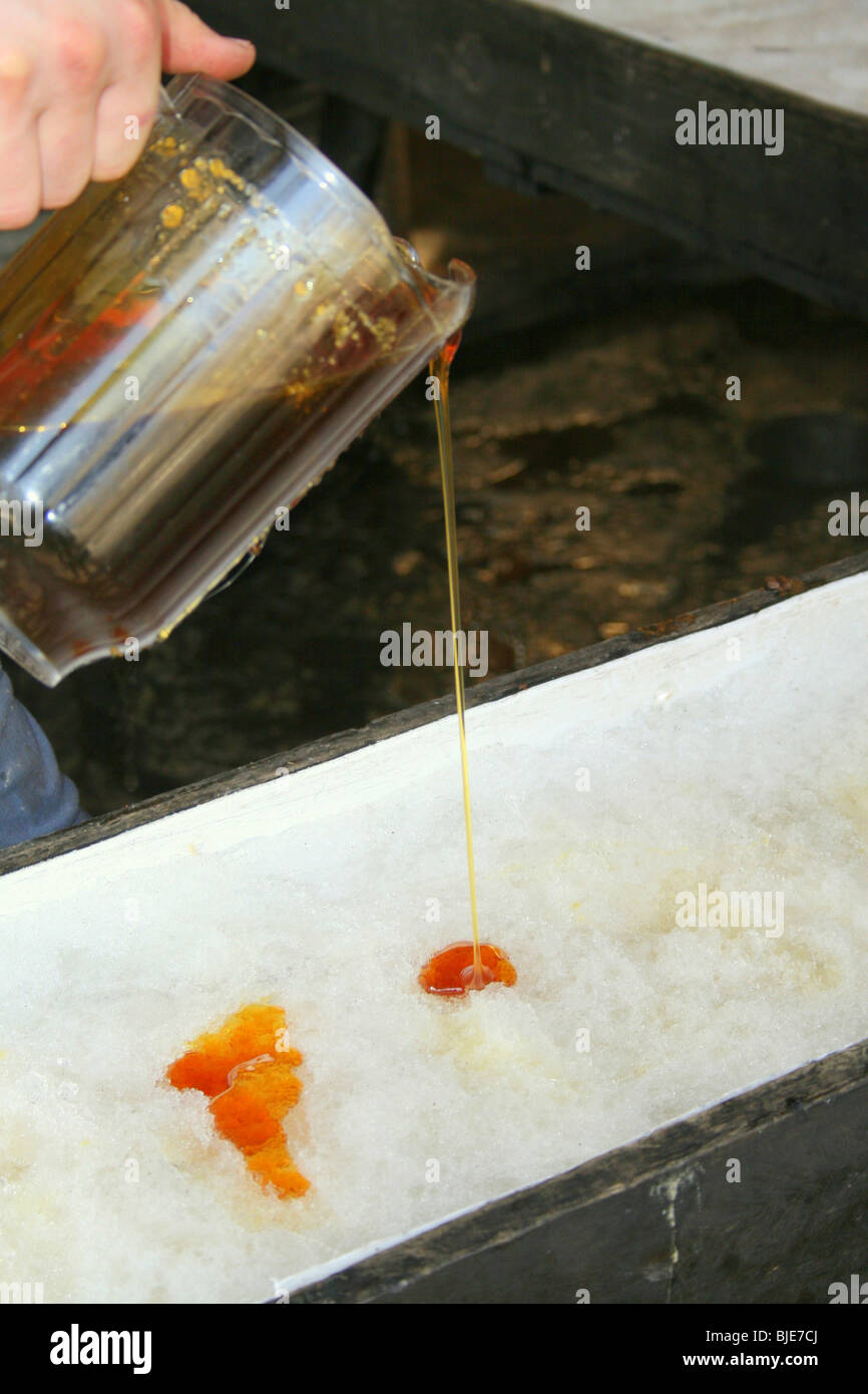 Pouring hot maple syrup from a jug over snow to create taffy Stock ...