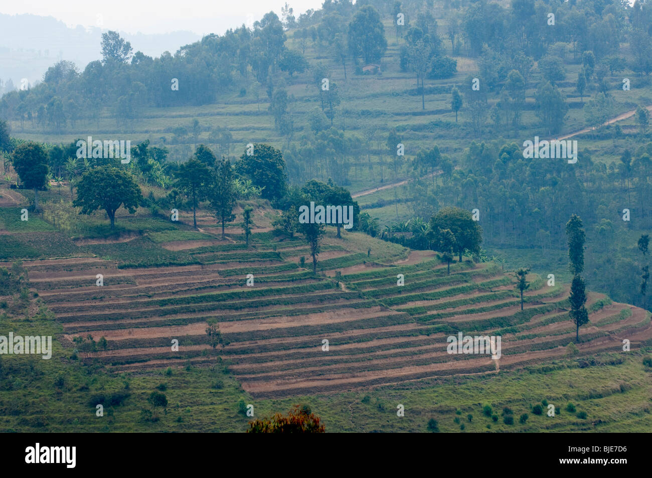 Terrace farming rwanda hi-res stock photography and images - Alamy